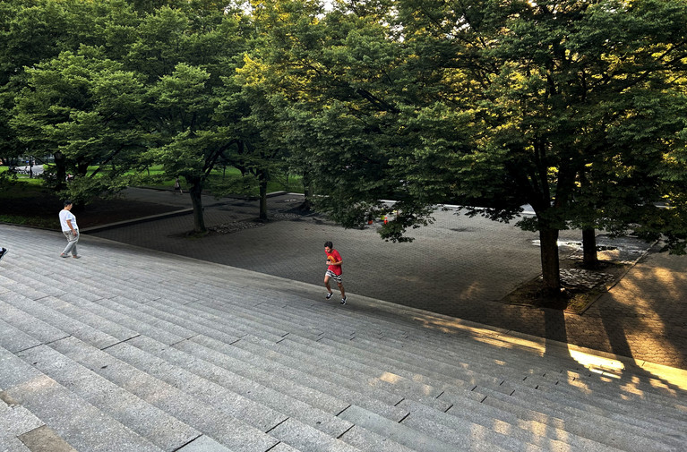 Judge Says New York’s Green Amendment Doesn’t Prevent Tree Removal in ...